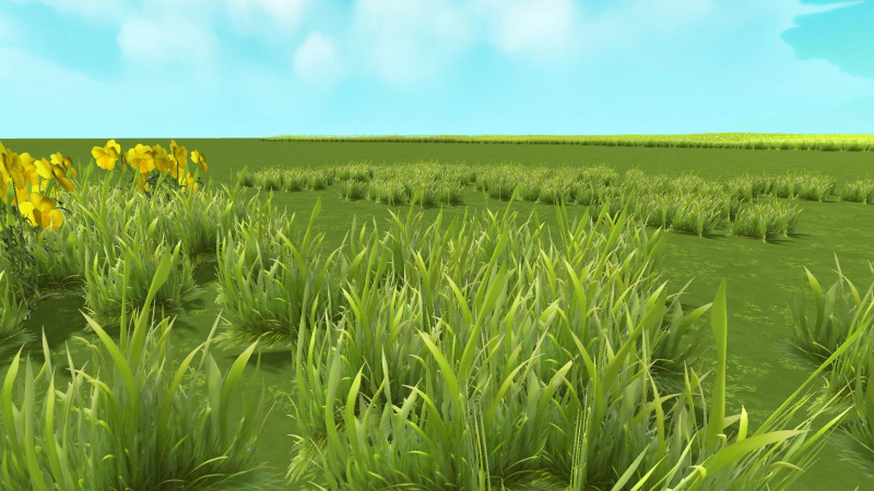 Grass Plants Mega Pack Shader Mobile Ready Unity Unreal Engine CG Textures in Nature 3DExport
