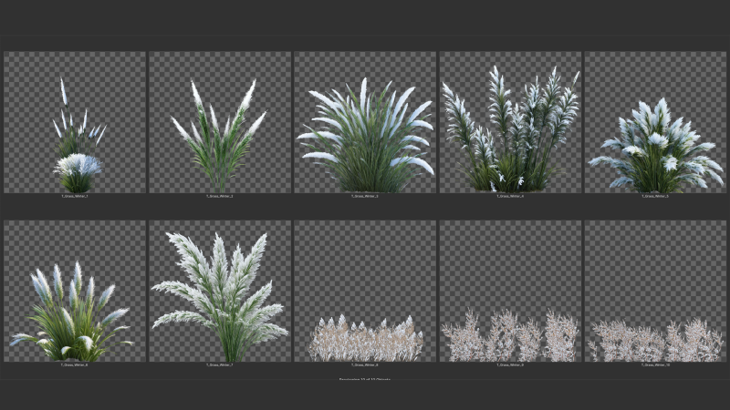 Grass Plants Mega Pack Shader Mobile Ready Unity Unreal Engine CG Textures in Nature 3DExport