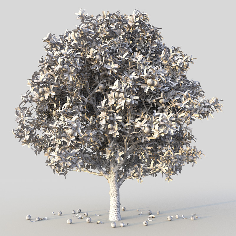 Orange Tree 3D Model in Tree 3DExport