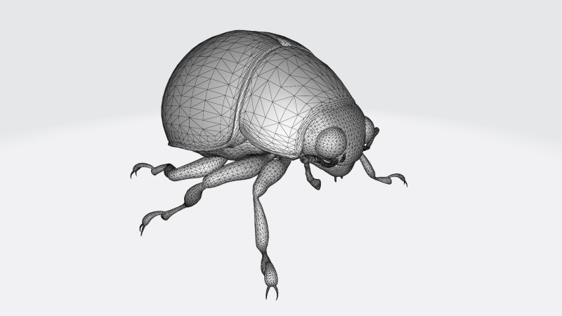 Ladybug Animal Ready to Print 3D Model in Insects 3DExport