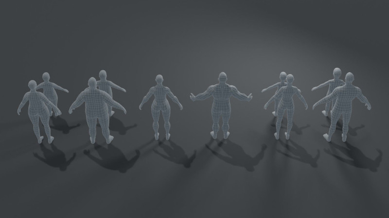 Human Body Base Mesh 40 Models Pack 3D Model in Other 3DExport