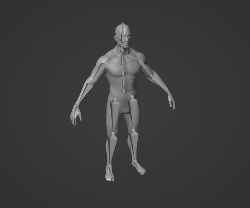 Human Body Base Mesh 28 Animations 10 Models Pack 3D Model in Other ...