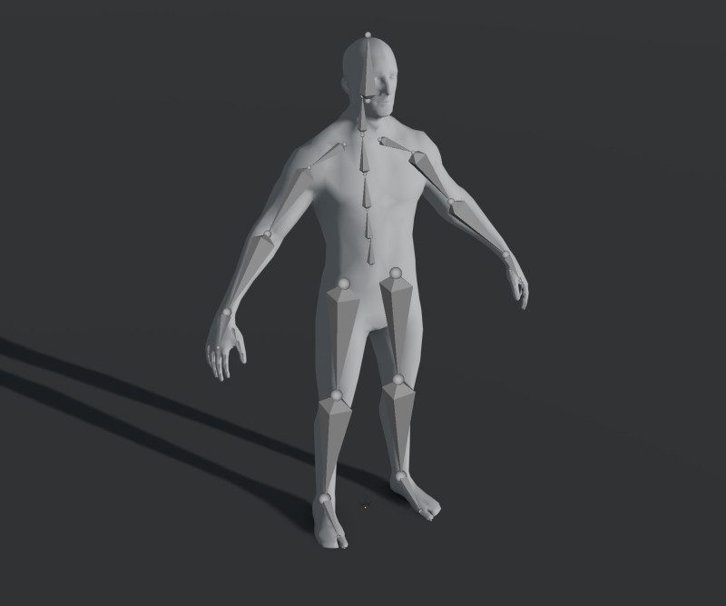 Human Body Base Mesh 28 Animations 10 Models Pack 3D Model in Other ...