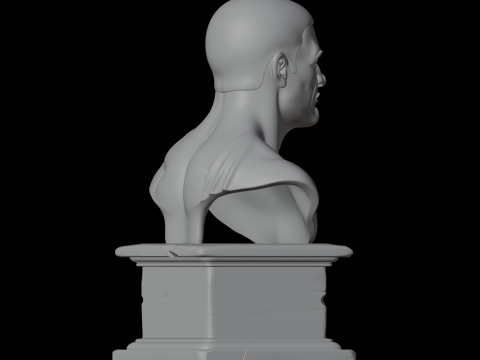 Payudara Pria Romawi Model Cetak 3D in Patung 620797 | 3DExport