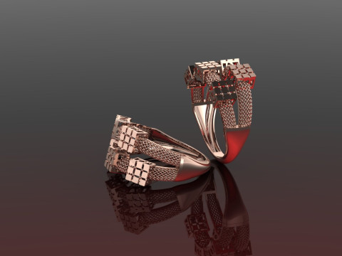 Twin-Matrix-Ring, geometrisches Dual-Cube-Mesh-Design, STL-druckbereit ...