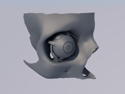 Anatomie de l'oeil humain Modèle 3D in Autre 623734 | 3DExport